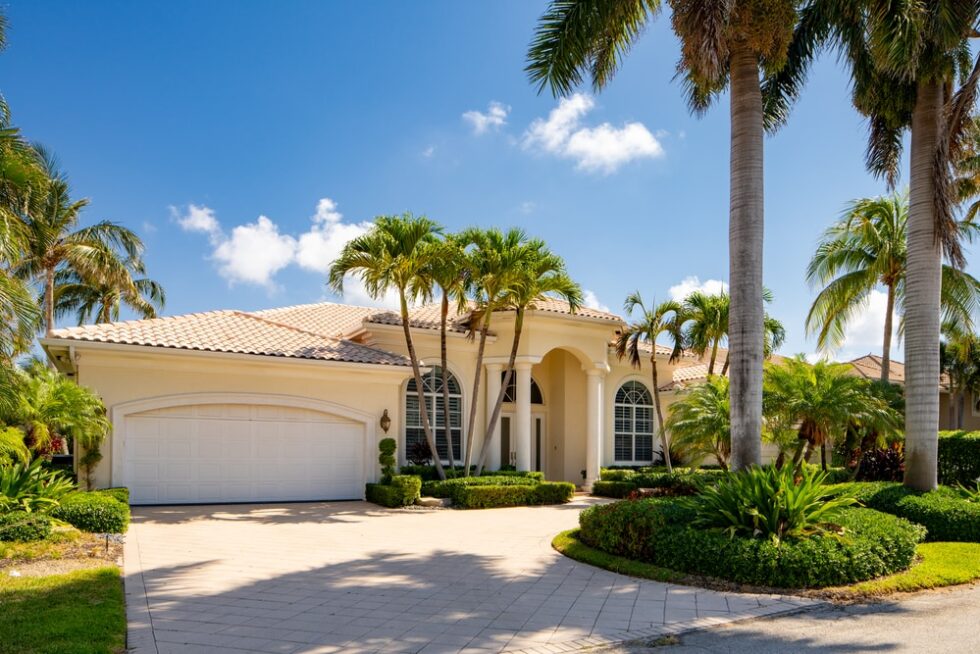 Tree Characteristics to Avoid when Choosing a Tree For Your Naples Home ...